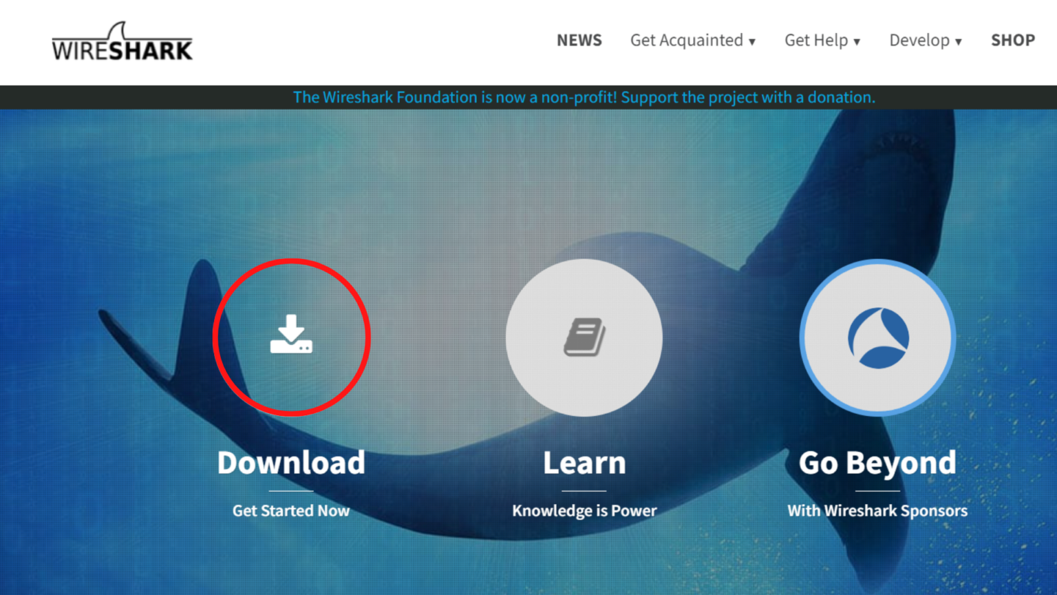 How to Install and Set up Wireshark in MacOS and Capture packets using it. – TibCERT Knowledge Base